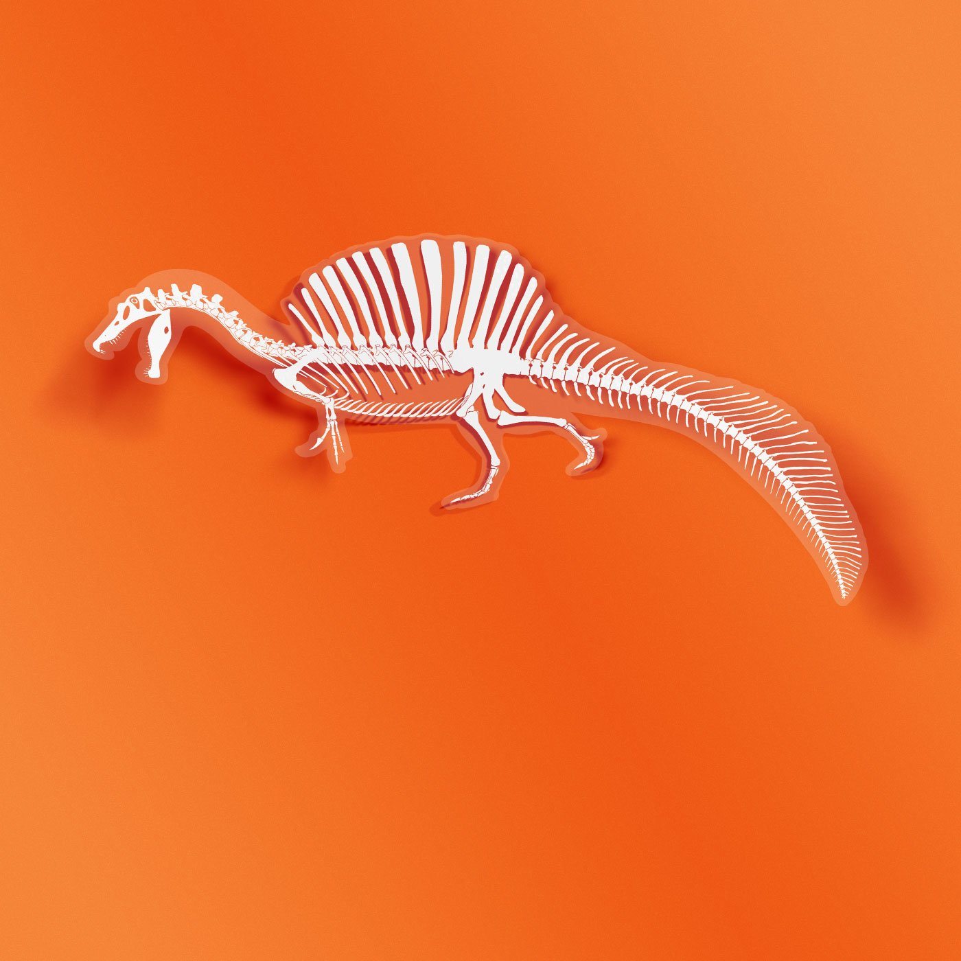 Dinosaurs Spinosaurus Bones
